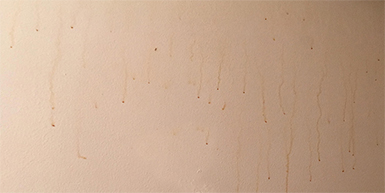 Surface Preparation - Inspirations Paint