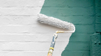 How To Paint Bare Gyprock - Inspirations Paint